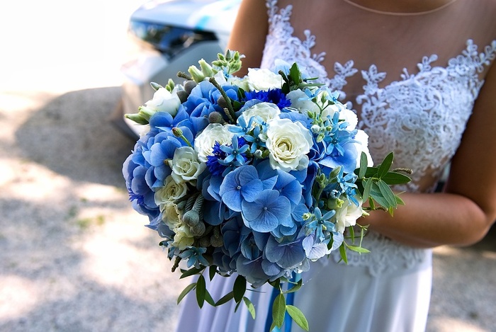 Modrá svatba :: Vene Bene
